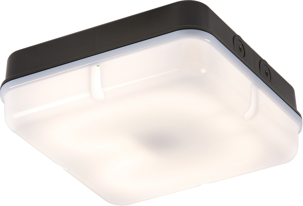 IP65 Bulkhead Lights