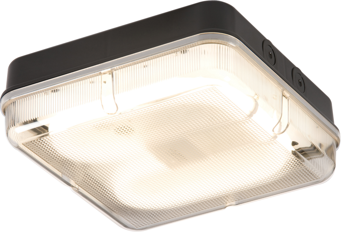 IP65 Bulkhead Lights